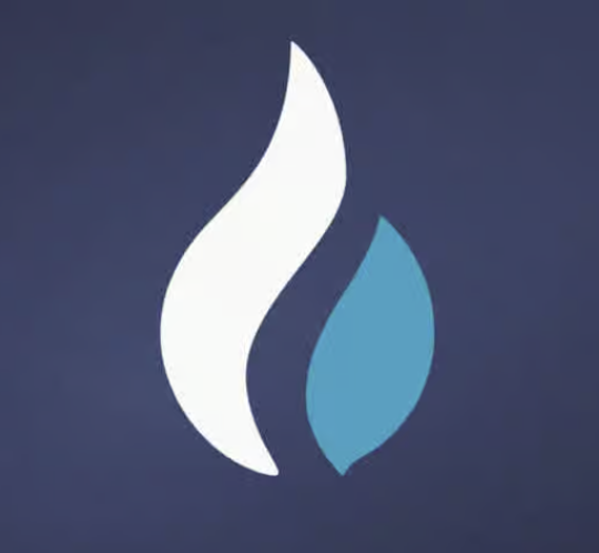 CoqInu - Community Coin of the Chad Chain