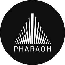 CoqInu - Community Coin of the Chad Chain